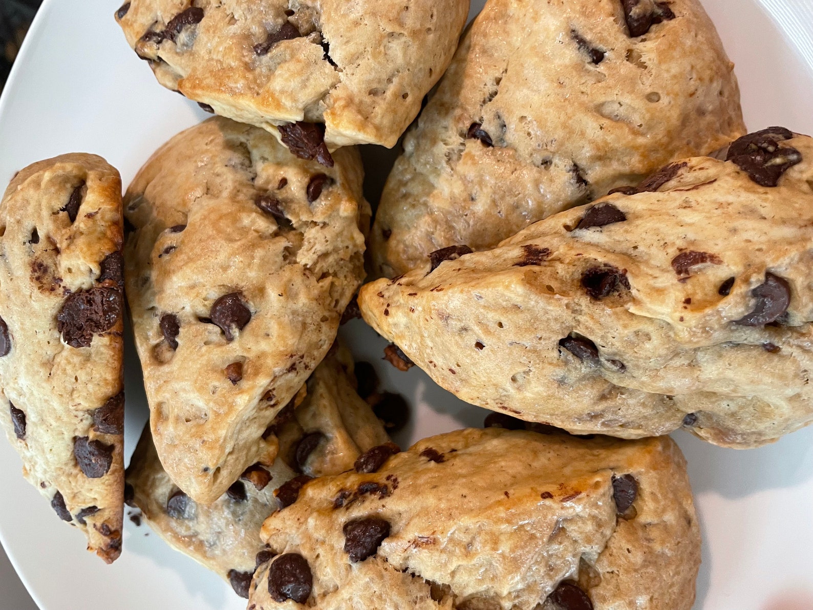 8 Large Sourdough Scones, Chocolate Chip Scones, Blueberry Lemon Scones ...