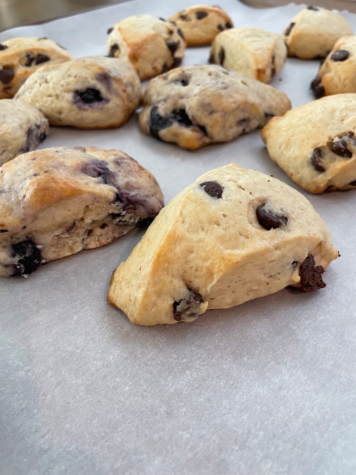 8 Large Sourdough Scones, Chocolate Chip Scones, Blueberry Lemon Scones ...