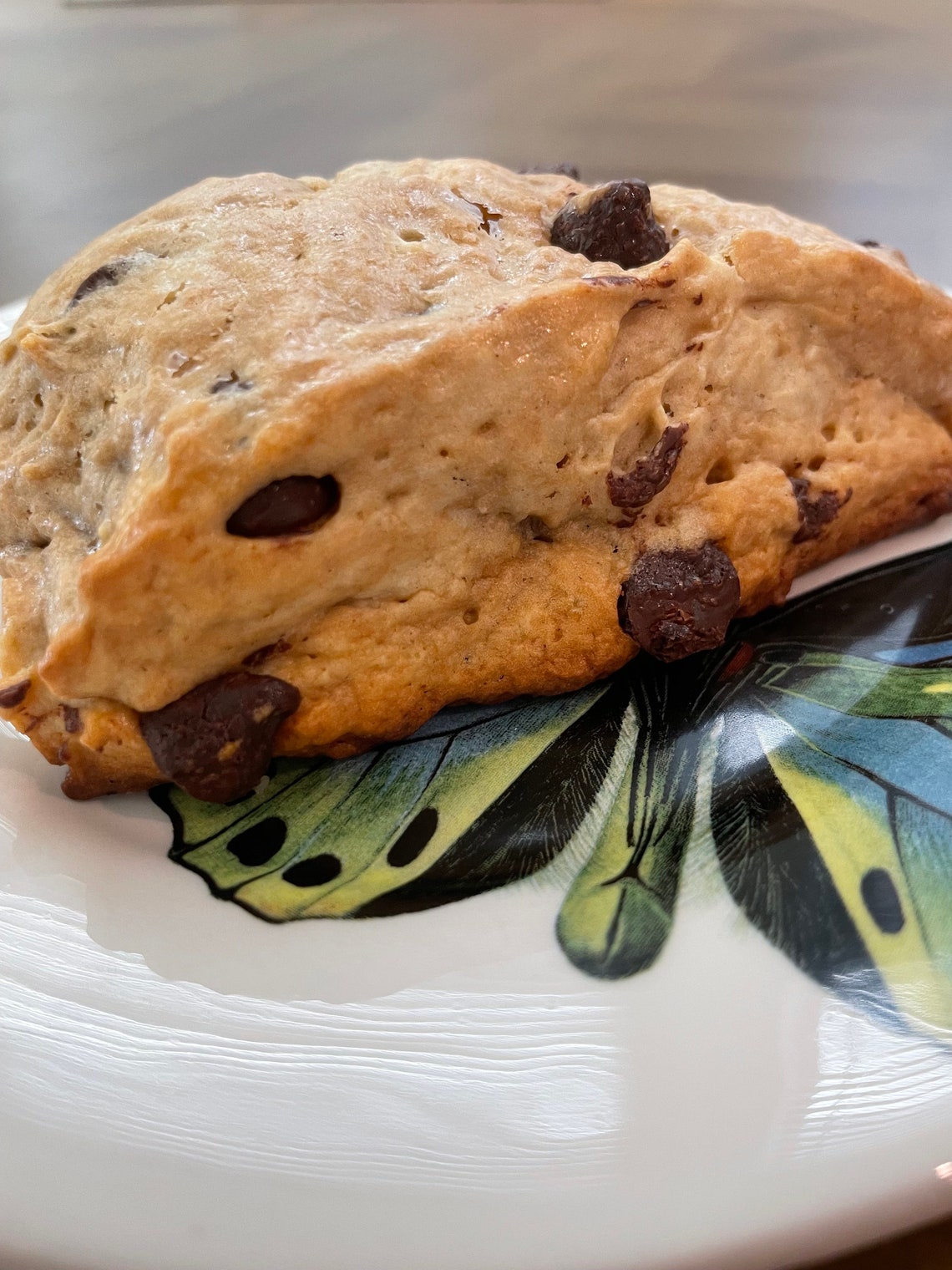 8 Large Sourdough Scones, Chocolate Chip Scones, Blueberry Lemon Scones ...