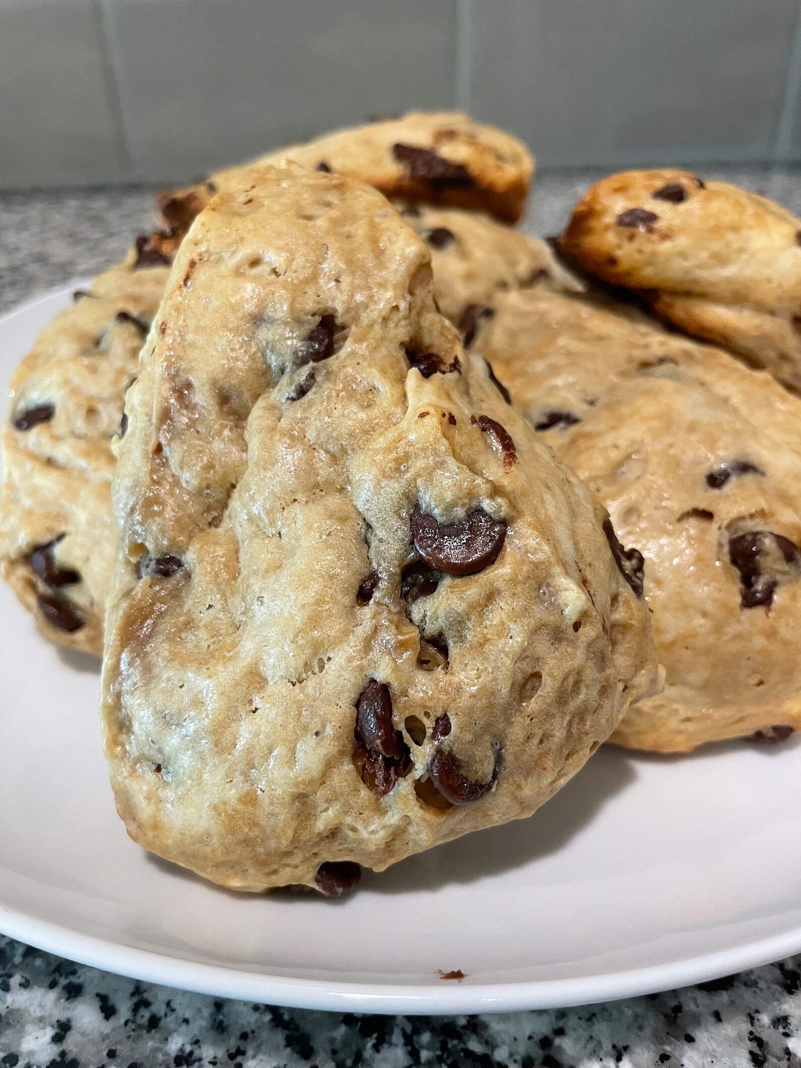 8 Large Sourdough Scones, Chocolate Chip Scones, Blueberry Lemon Scones ...