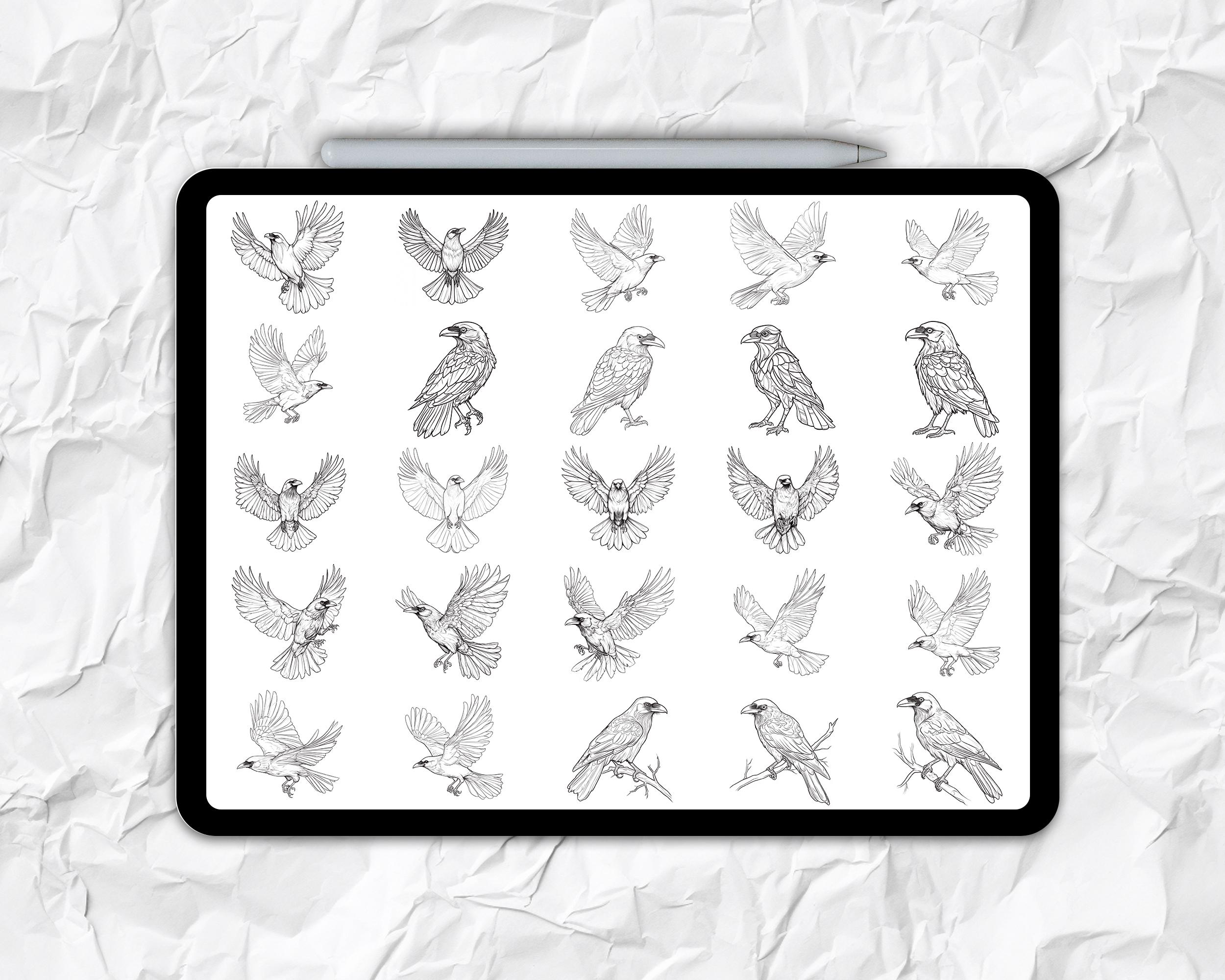 50+ Crow Portrait Designs for Procreate - Crows Procreate Tattoo Stamps ...