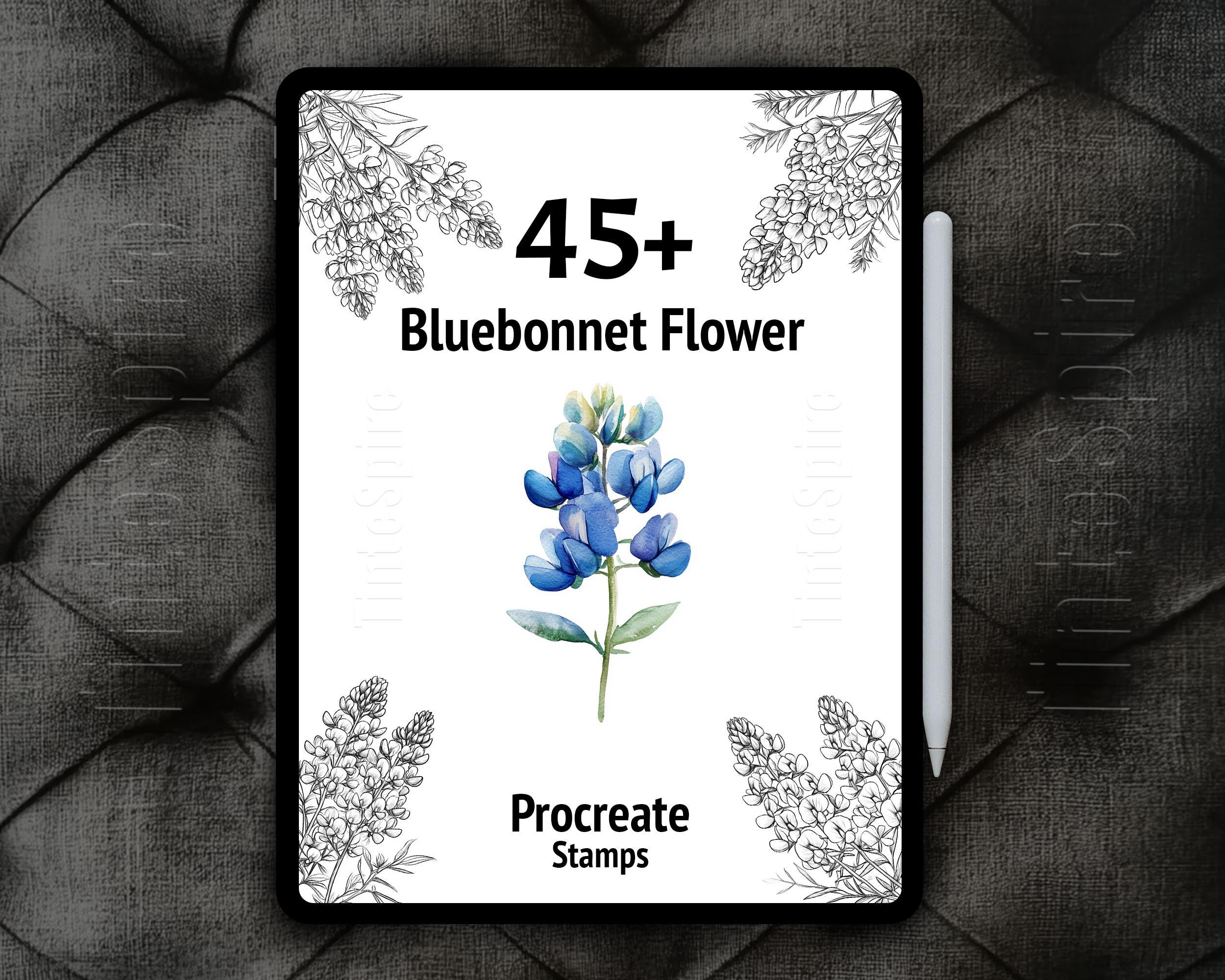45+ Procreate Bluebonnet Flower Bundle | Bluebonnet Flowers Brushes ...
