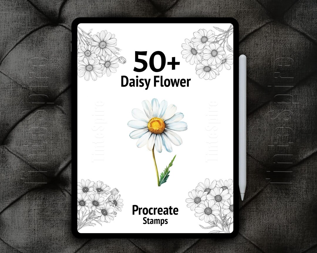 50+ Procreate Daisy Flower Stamps Bundle| Daisy Flowers Procreate Stamp ...