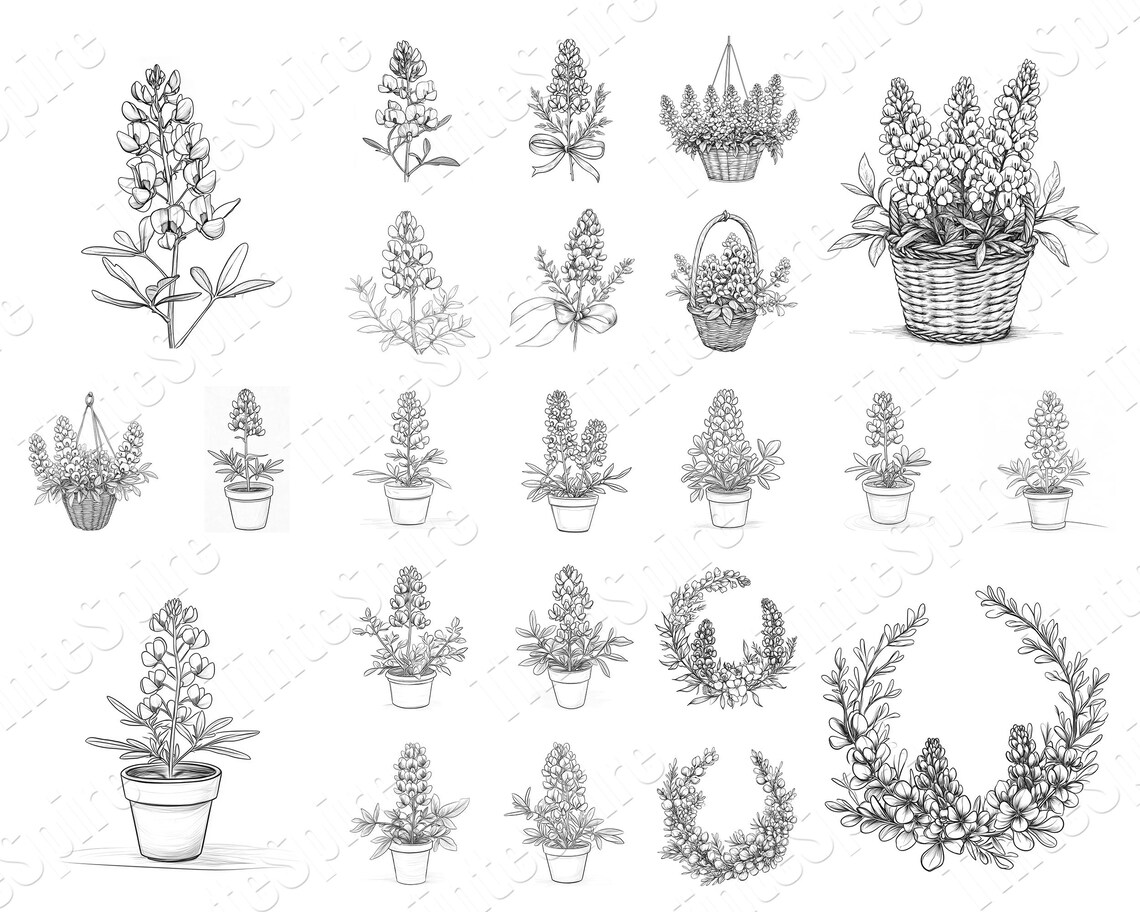 45+ Procreate Bluebonnet Flower Bundle | Bluebonnet Flowers Brushes ...