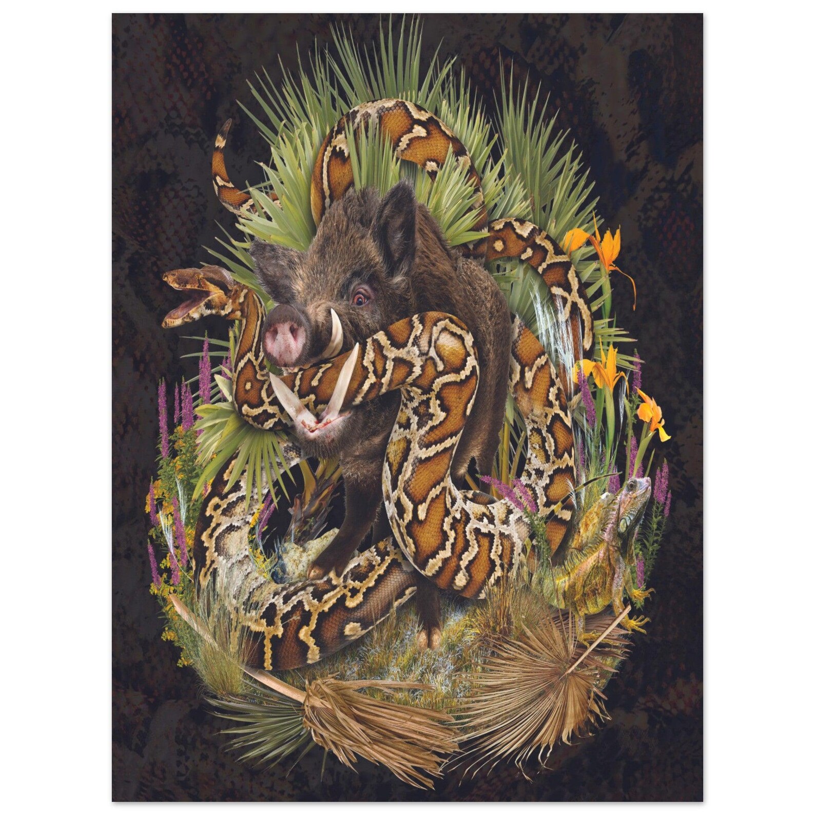 Wild Boar Vs Python - Etsy