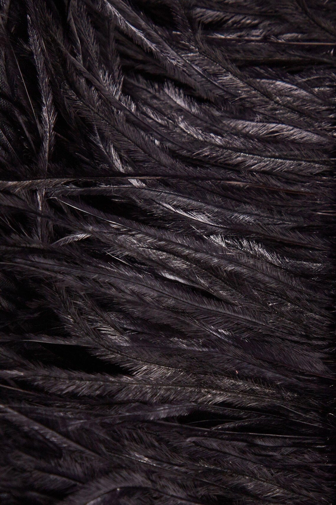 1 M Real Ostrich Feather Trim Fringe Diy Feather Strip With Snap ...