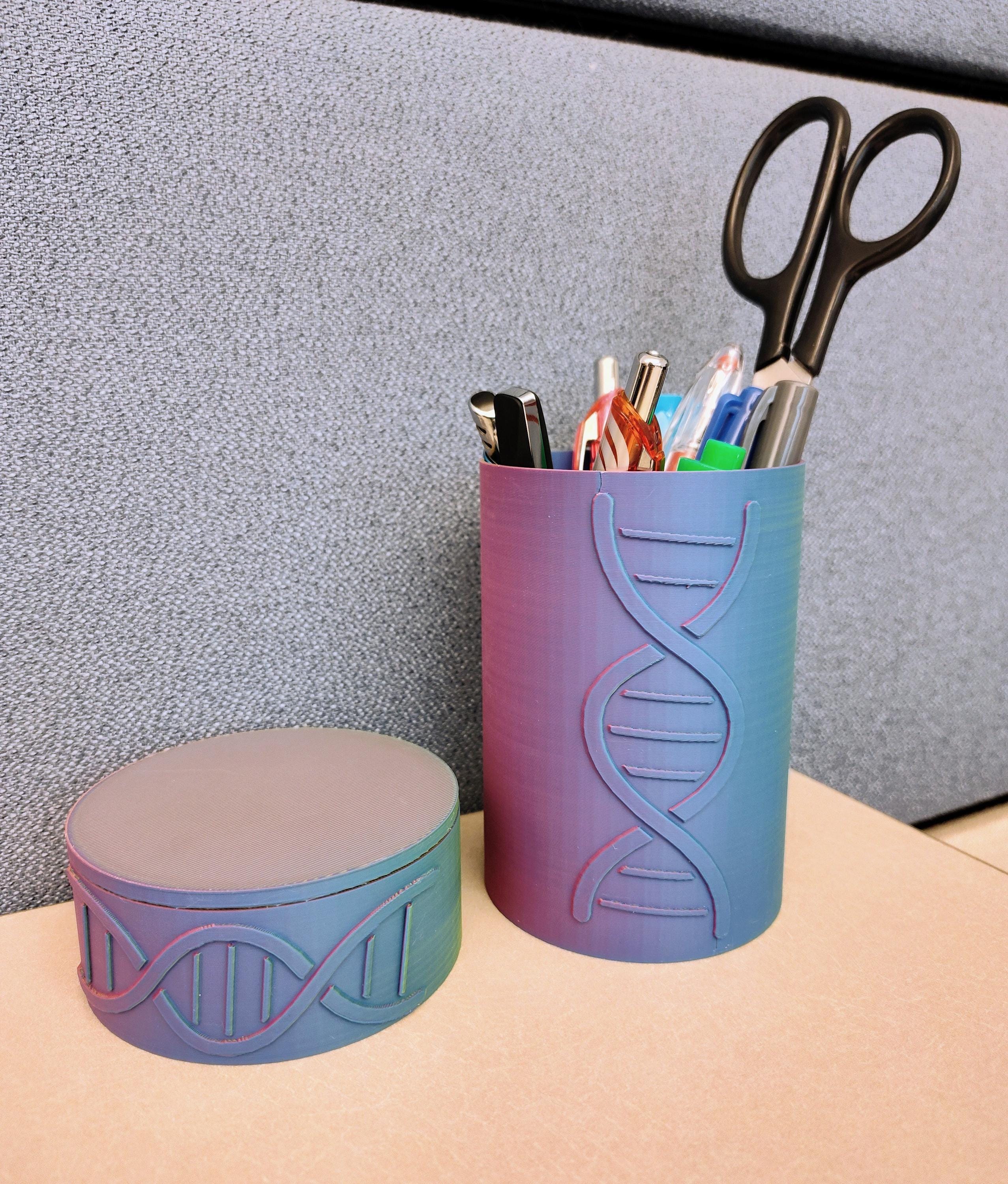 DNA Helix Themed Office Containers - Etsy