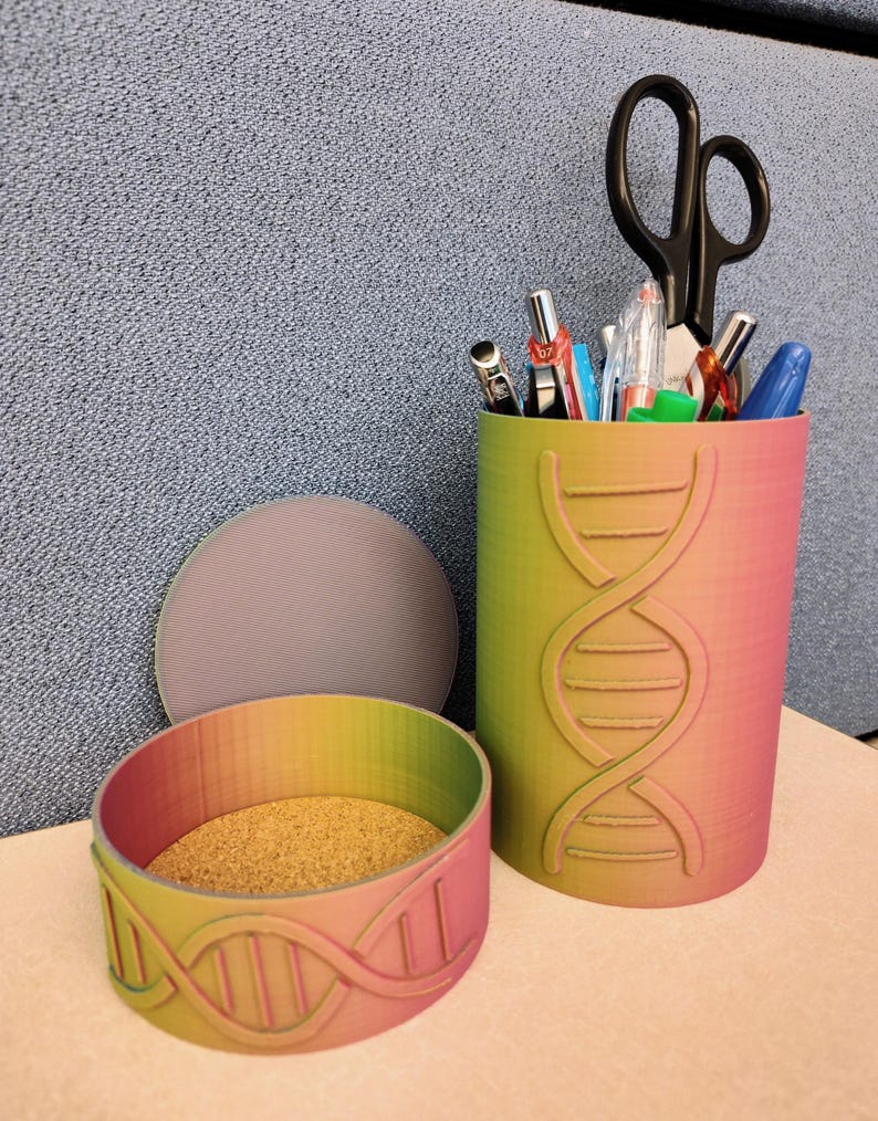 DNA Helix Themed Office Containers - Etsy