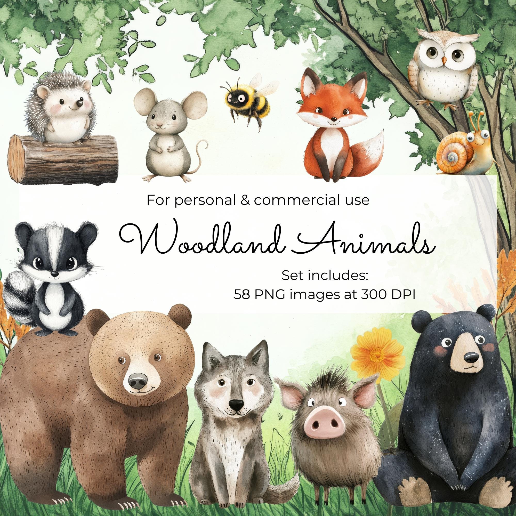 Woodland Animals Clipart, Clipart for Commercial Use, Transparent Pngs ...
