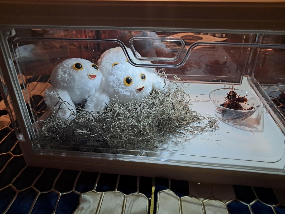 Star Wars Porg Hatchery... - Etsy