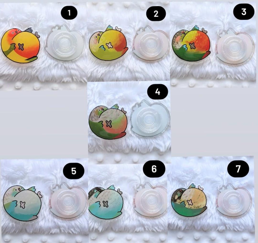 PHONE HOLDER - Conure - 7x Types | Green Cheek | Sun Conure | Turquoise ...