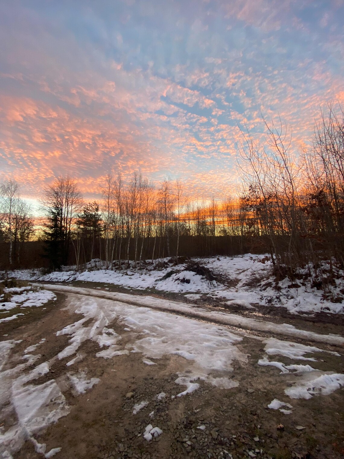 Cozy Wicker Basket,wicker Organiser,woven Basket,basic Basket ...