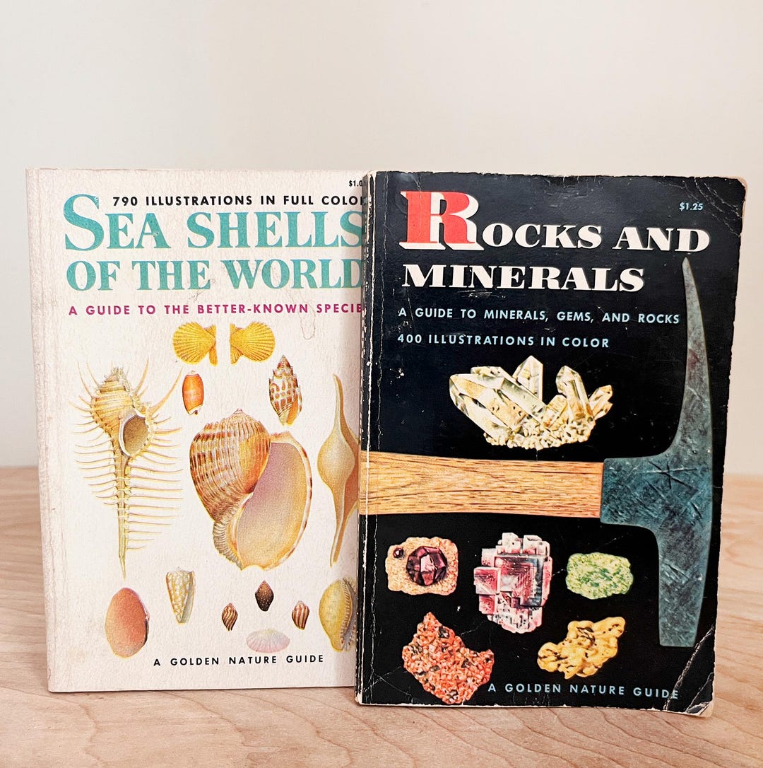 Set of Two Golden Guides: Seashells of the World 1962 & Rocks and ...