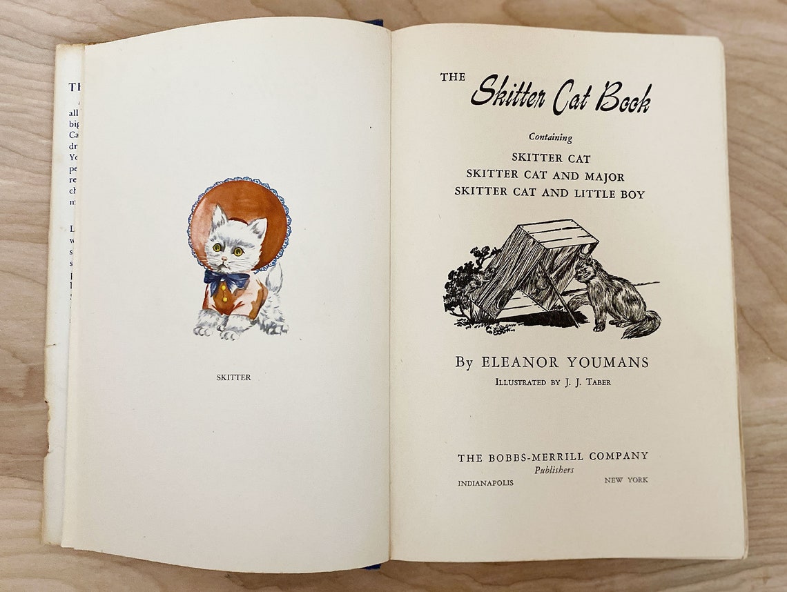 The Skitter Cat Book by Eleanor Youmans and Illustrated by - Etsy