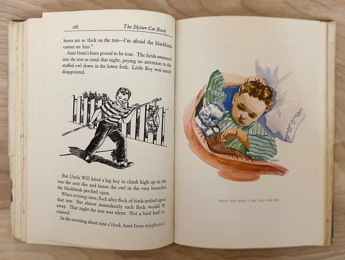 The Skitter Cat Book by Eleanor Youmans and Illustrated by - Etsy