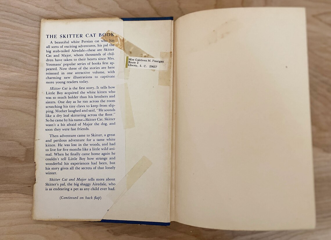 The Skitter Cat Book by Eleanor Youmans and Illustrated by J.J. Taber ...