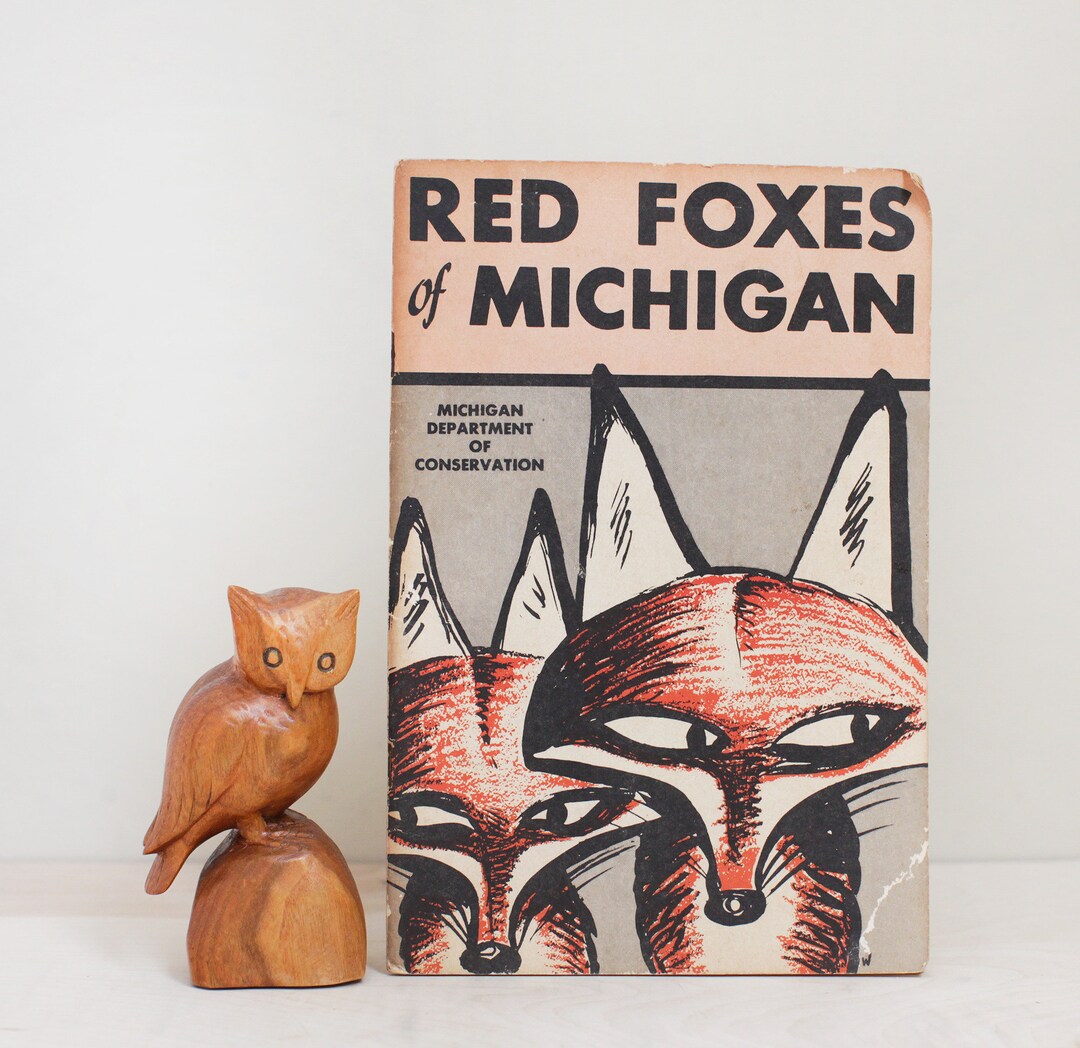 Red Foxes of Michigan by David A. Arnold W Great Mid Century Cover ...