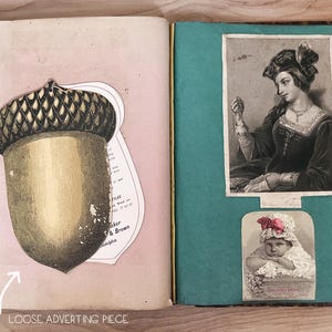 Victorian Scrapbook 1871 of Lillian Eason, Age 12/ From Prominent SC ...
