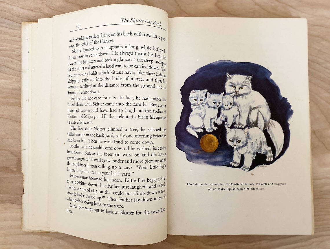 The Skitter Cat Book by Eleanor Youmans and Illustrated by - Etsy