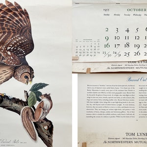 Rare Audubon Book Plate Calendars From 1955/ 3 Large Vintage Offset ...