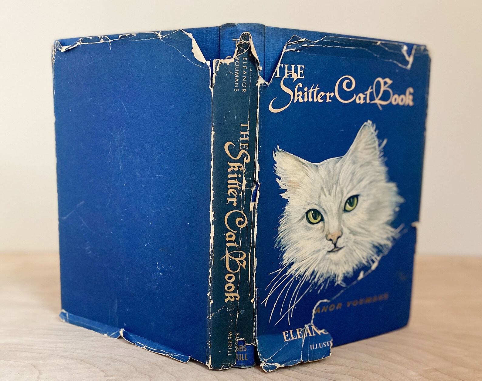 The Skitter Cat Book by Eleanor Youmans and Illustrated by J.J. Taber ...