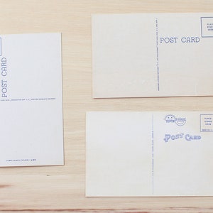 Three Comic Florida Linen Postcards/ 1930s / Humor by Curt Teich and ...