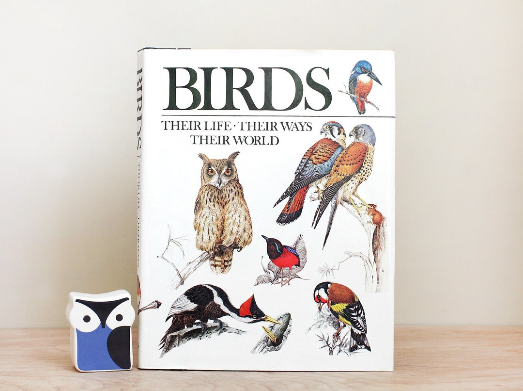 Birds Their Life Their Ways Their World/ Large Lovely Book W 100s of ...