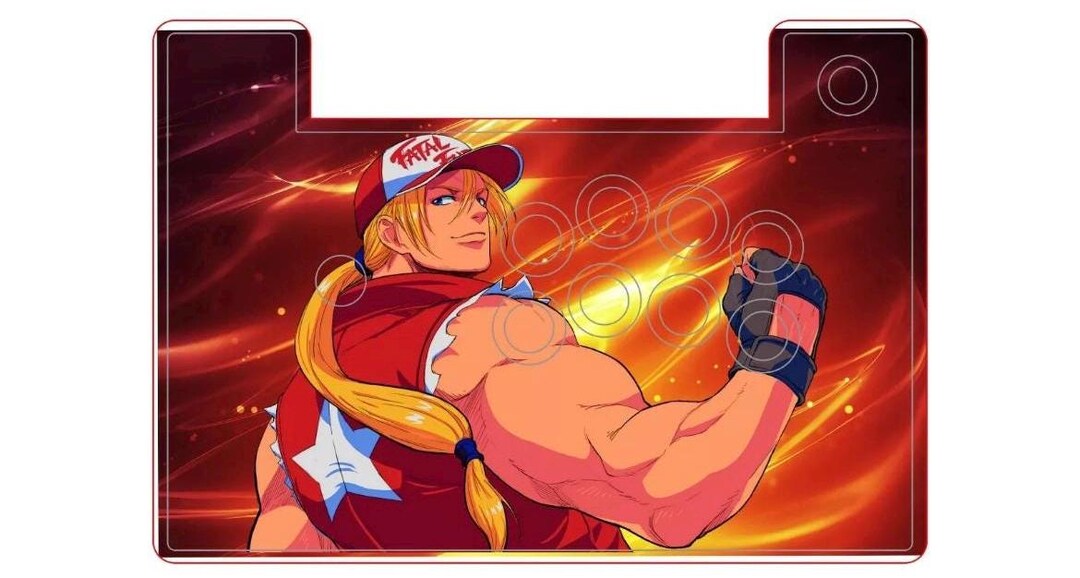 HORI ALPHA PS5 Fightstick Custom Artwork (only) TERRY - Etsy