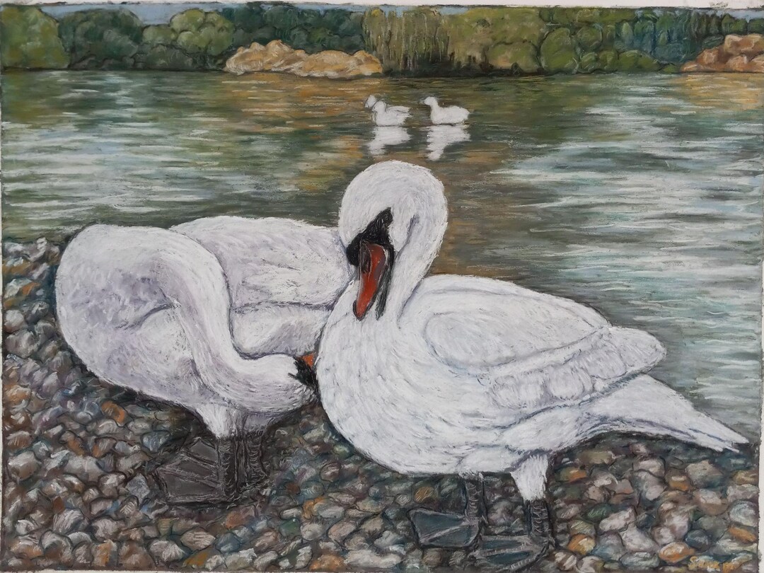 Two Swans by the River, Original Drawing, Wall Art Hanging in Any Room ...