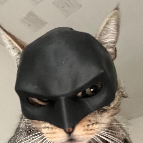 Bat Cat Mask - Etsy