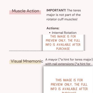Anatomy Mnemonics-muscle Action Visual Guide for Studying and ...