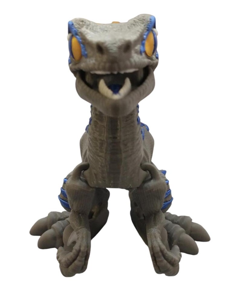 Raptor 3D Printed Articulating Figurine - Etsy