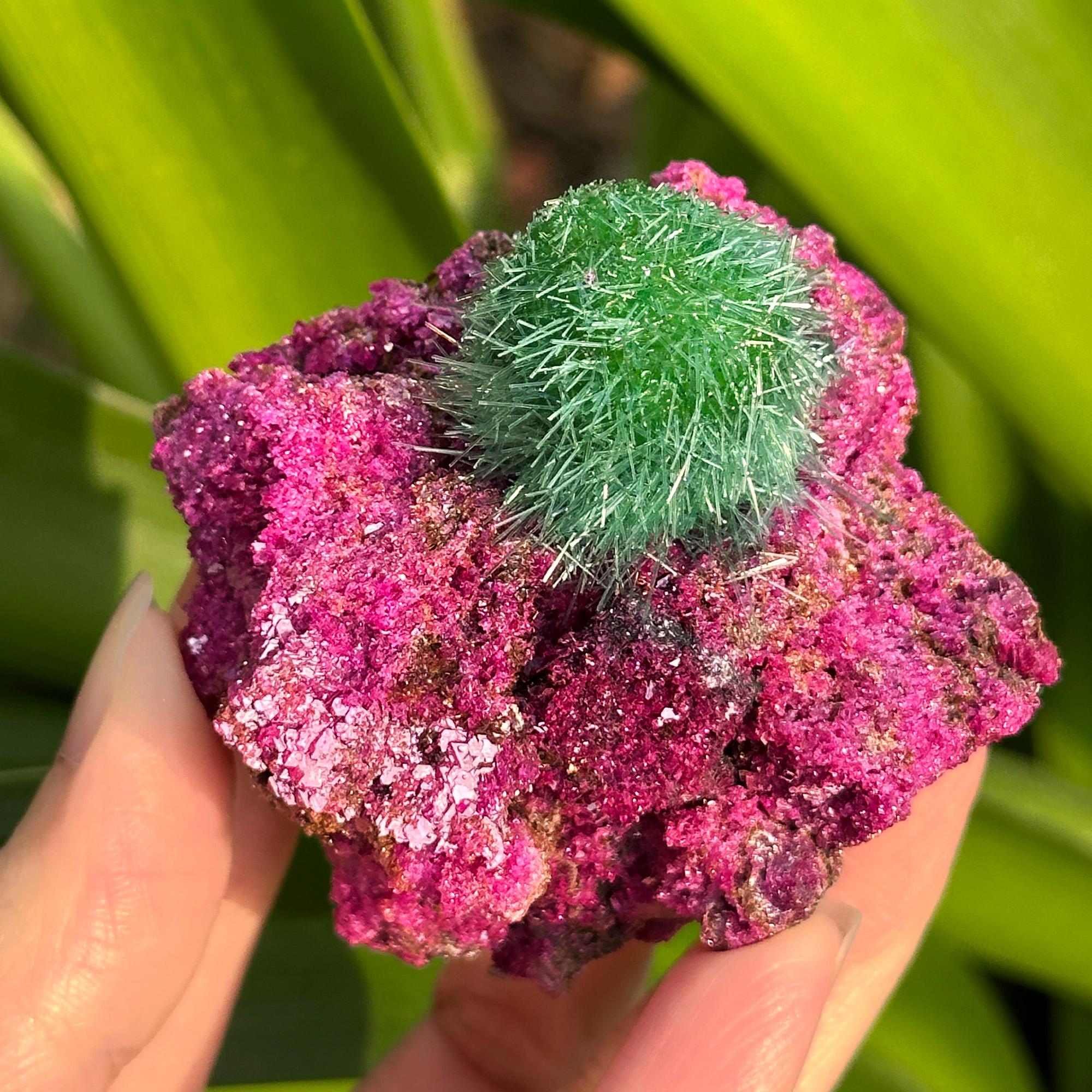 Indian Dandelion Zeolite Quartz Crystal Cluster - Crystal Cluster Chunk ...