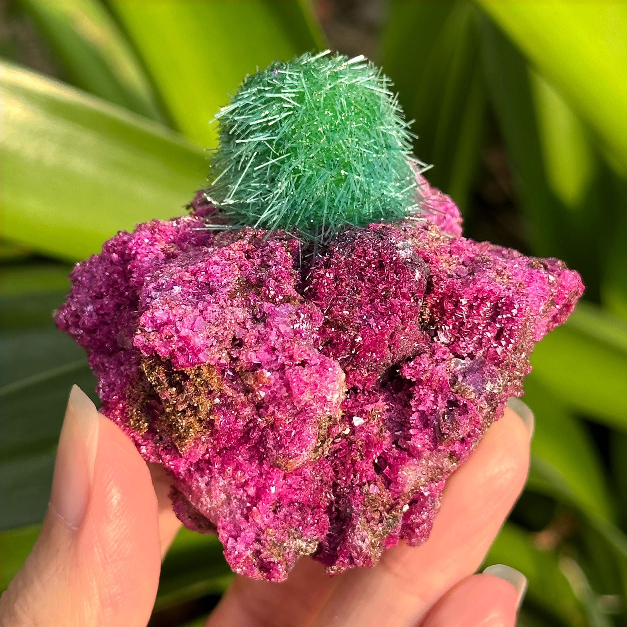 Indian Dandelion Zeolite Quartz Crystal Cluster - Crystal Cluster Chunk ...