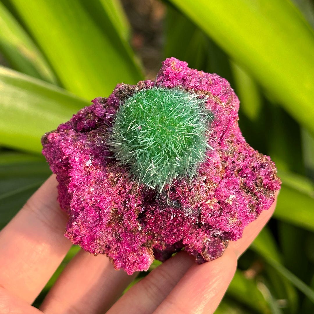 Indian Dandelion Zeolite Quartz Crystal Cluster - Crystal Cluster Chunk ...