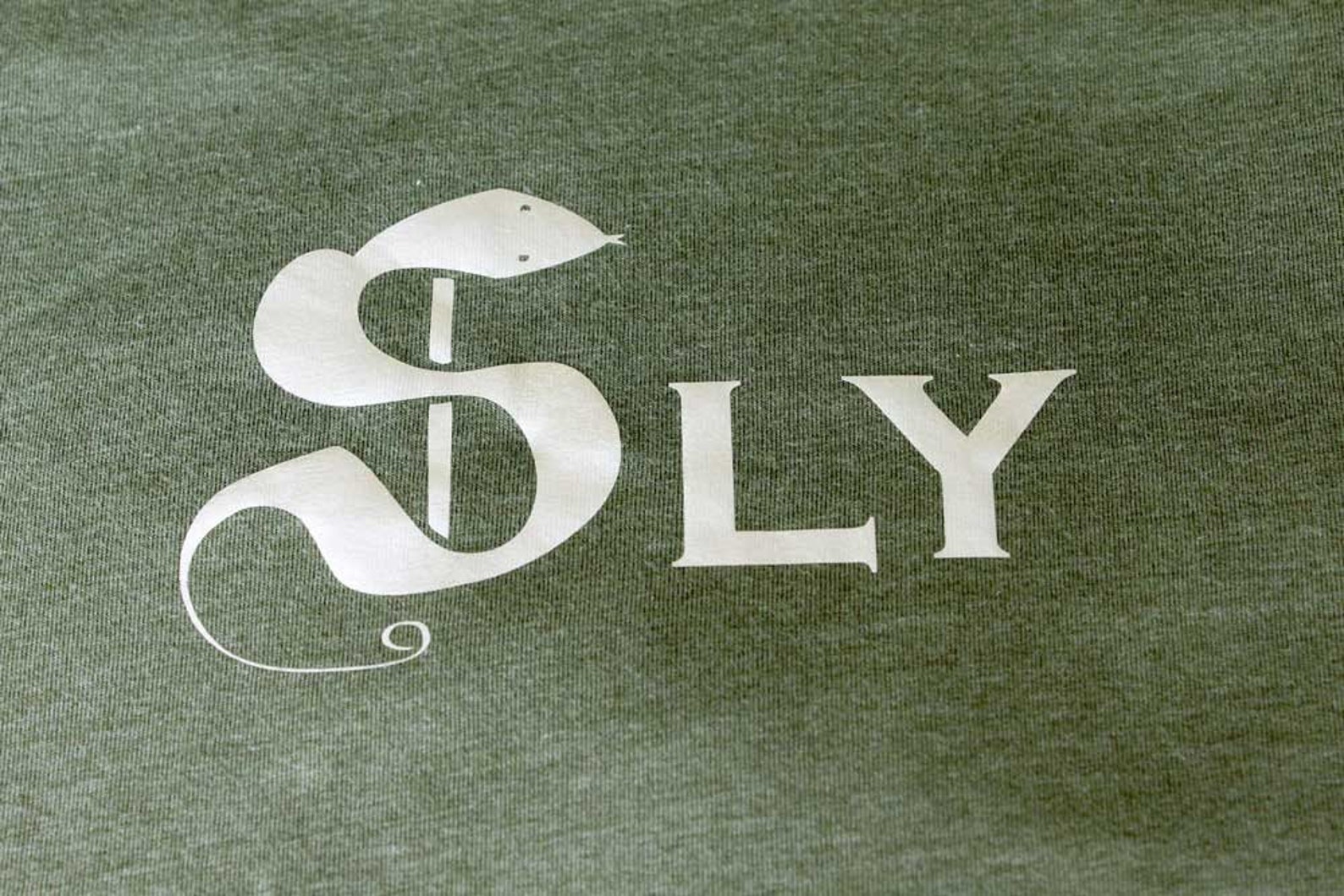 Sly Snake Wizarding House Tee - Etsy