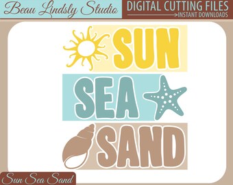 Sand Dollar SVG Cut File Instant Download Sand Dollar Cut - Etsy
