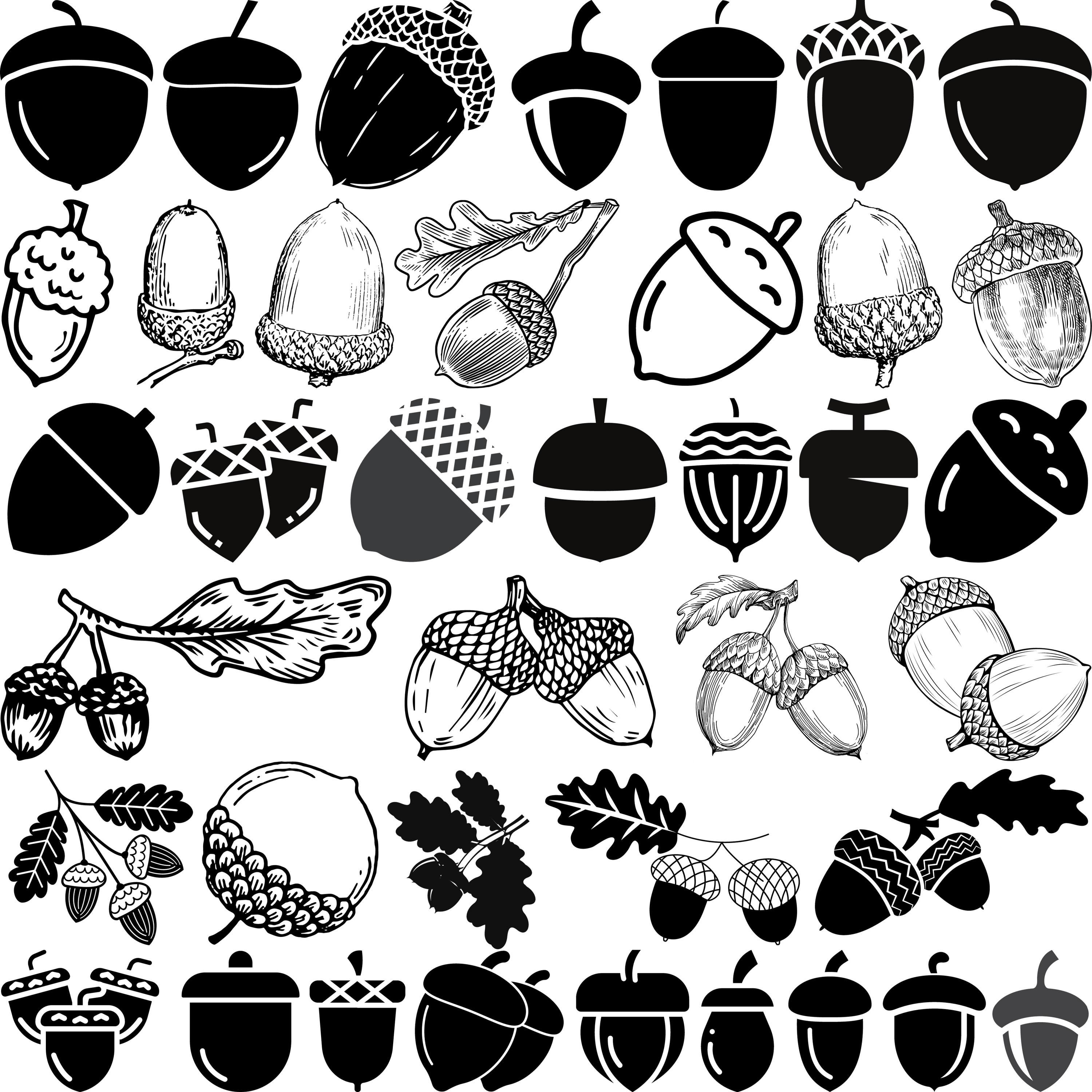 Acorn SVG Bundle , Acorn Clipart, Fall Svg, Acorn Files for Cricut ...