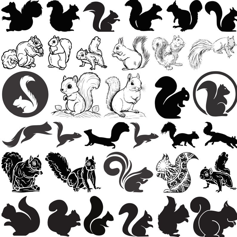 Squirrel SVG Bundle, Squirrel Clipart, Squirrel Vector, Squirrel Cut ...