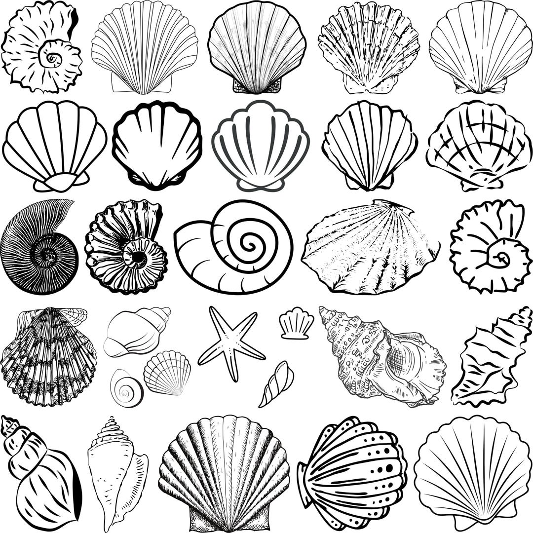 Seashell SVG Bundle, Seashell Clipart, Seashell SVG Cut Files for ...