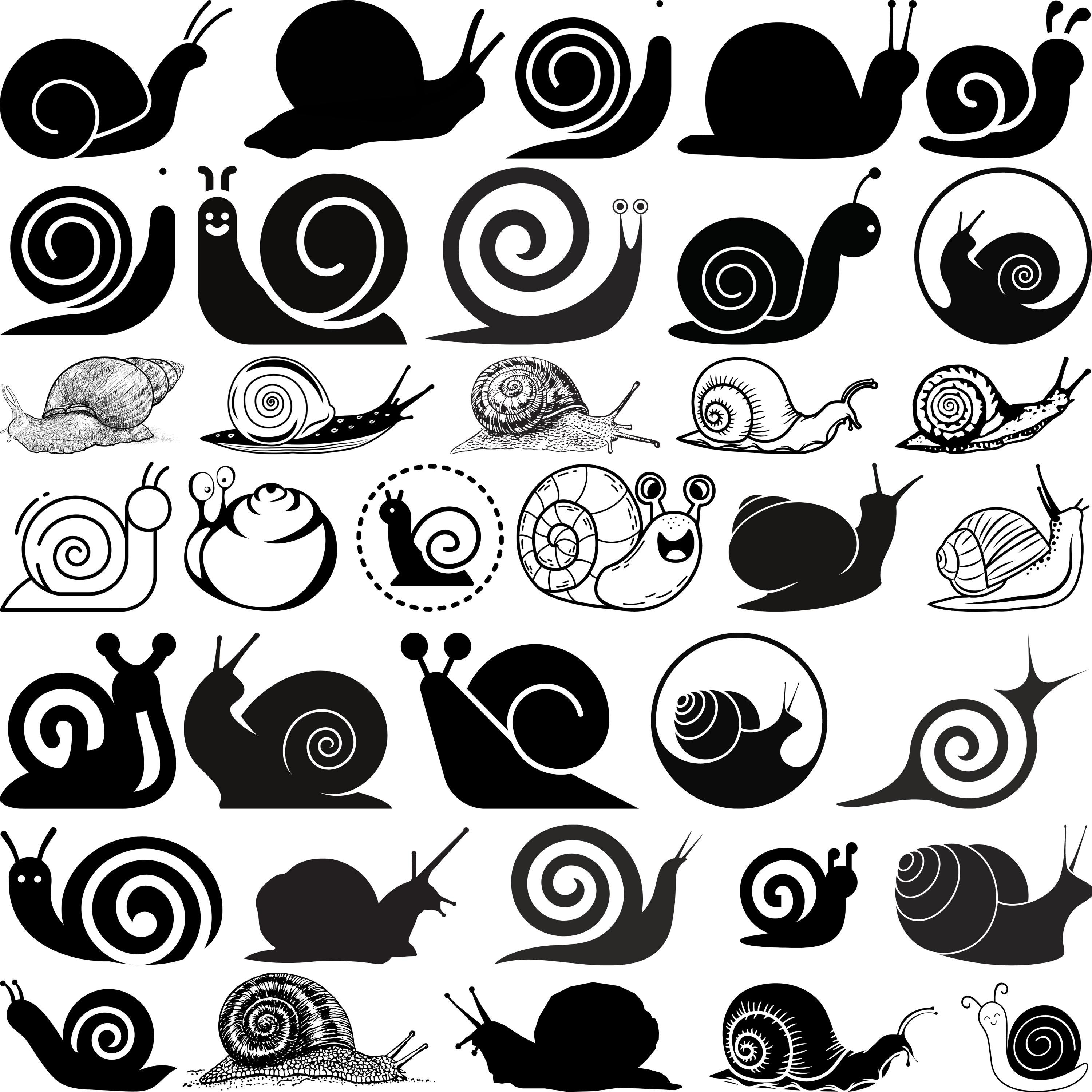 Snail Svg Bundle, Snail Cricut, Snail Silhouette, Snail Clipart, Snail ...