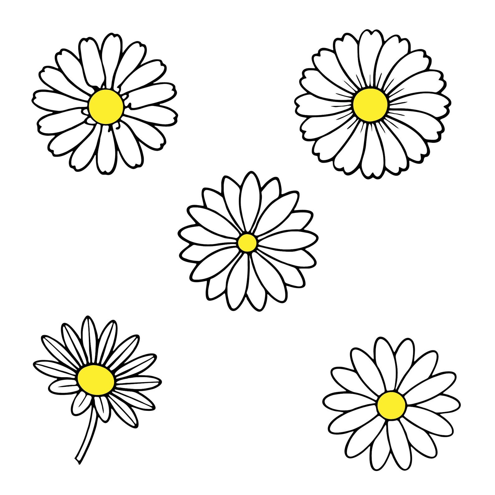Daisy Bundle Svg Bundle Clipart Cricut Flower Bundle Silhouette Vector ...
