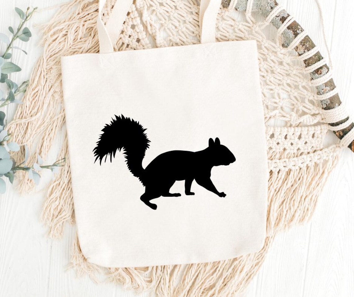 Squirrel SVG Bundle, Squirrel Clipart, Squirrel Vector, Squirrel Cut ...