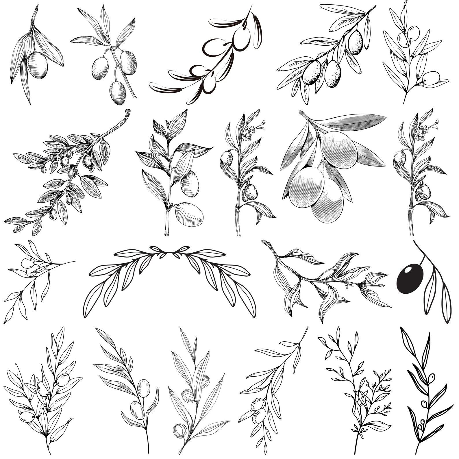 Olive Branch SVG Bundle, Olive Branch Png, Olive Branch Eps, Olive ...