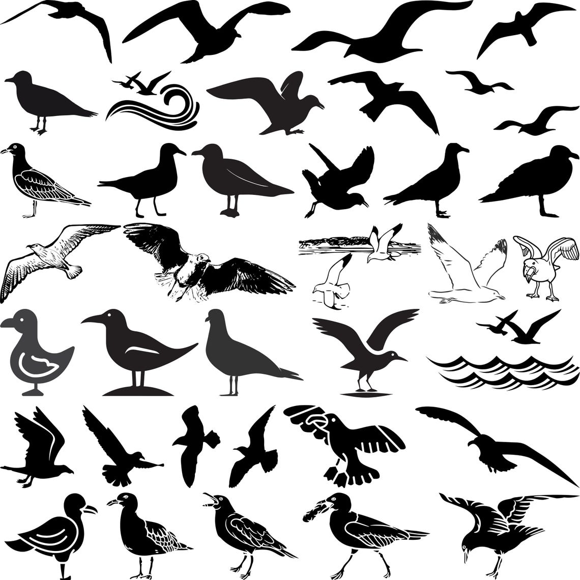 Seagull SVG Bundle, Seagull Head Svg, Seagull Vector, Seagull Cut Files ...