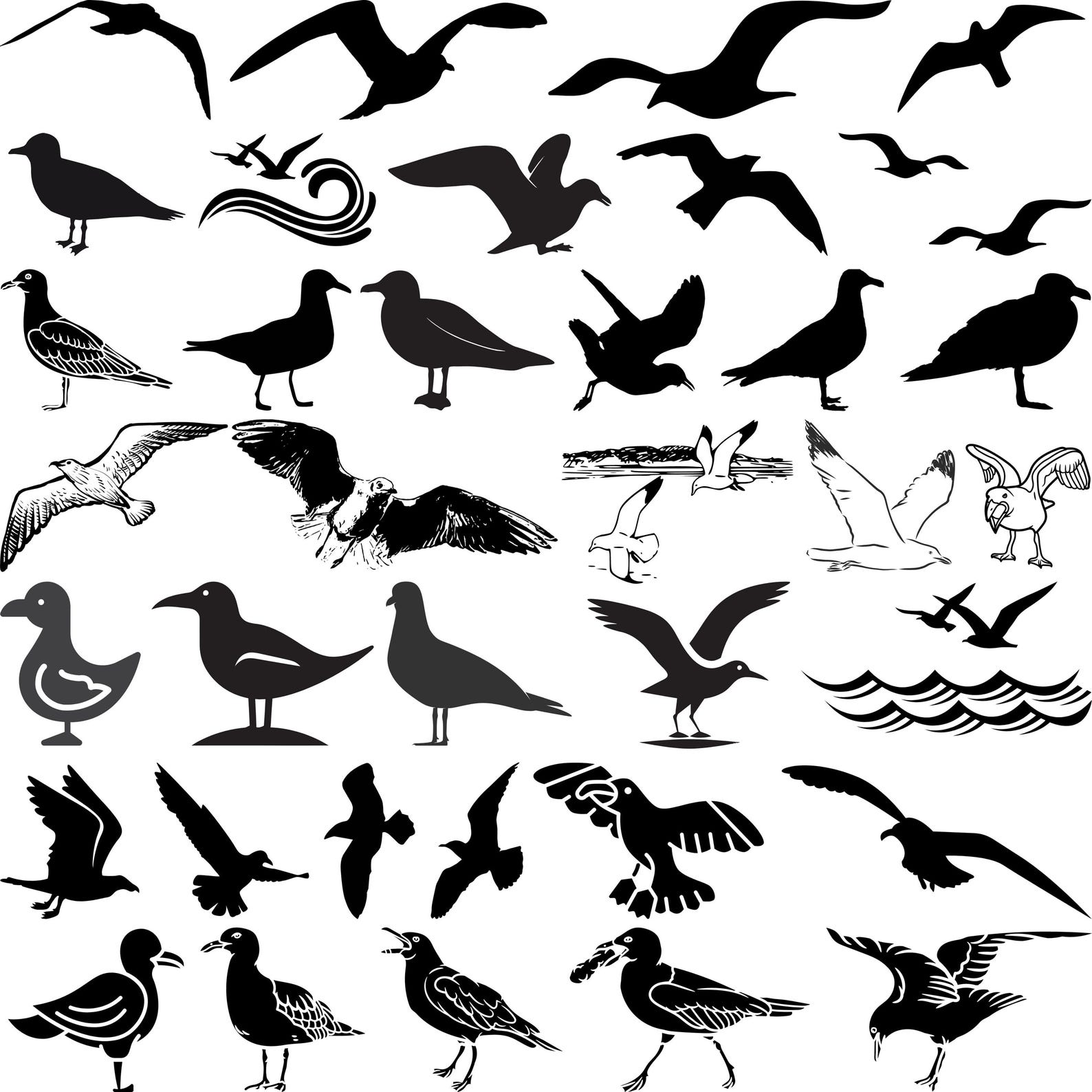 Seagull SVG Bundle, Seagull Head Svg, Seagull Vector, Seagull Cut Files ...