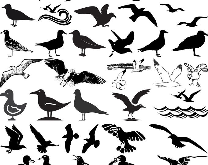 Flying Seagull Svg. Vector Cut File for Cricut, Silhouette, Pdf Png Eps ...