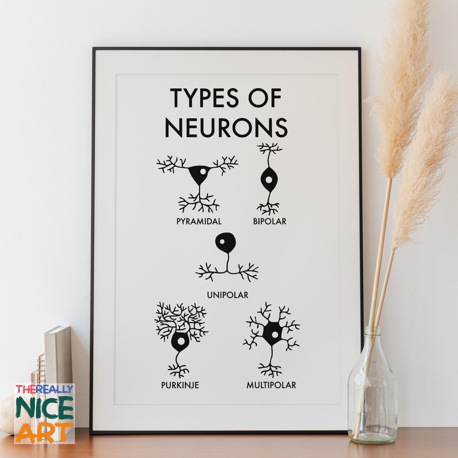 Neuron Types PRINTABLE Wall Art, Neurology Guide, Science Lab Decor ...