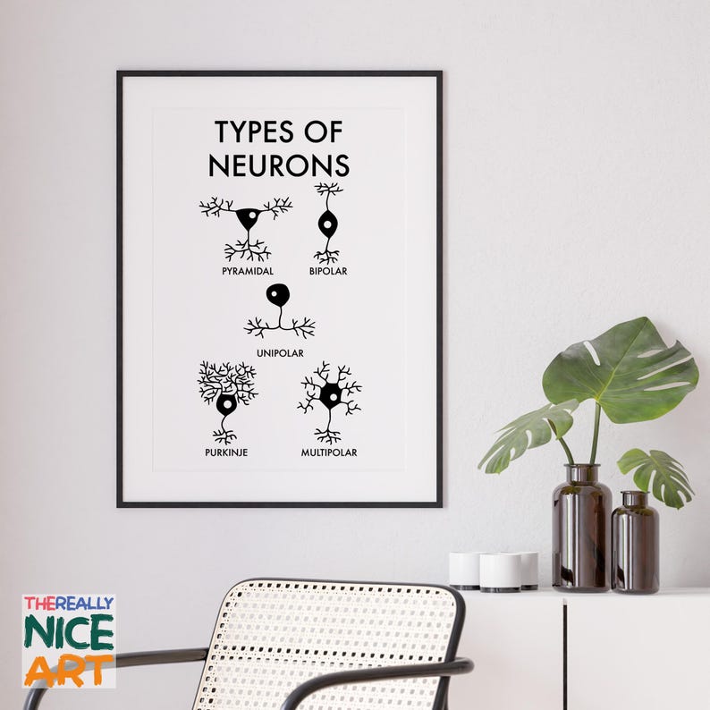 Neuron Types PRINTABLE Wall Art, Neurology Guide, Science Lab Decor ...