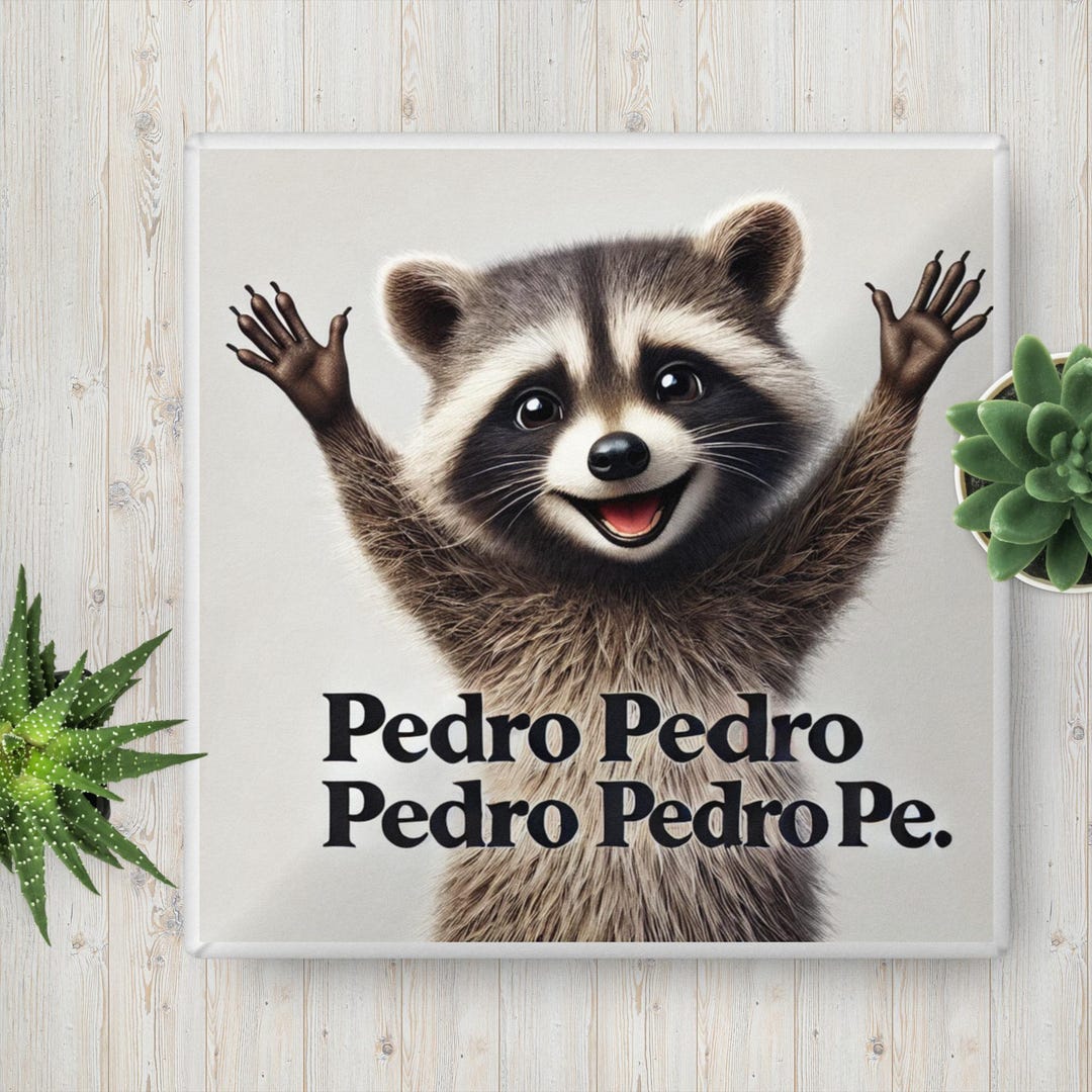 Custom Pedro Pillow, Tik-tok, Song, Racoon - Etsy